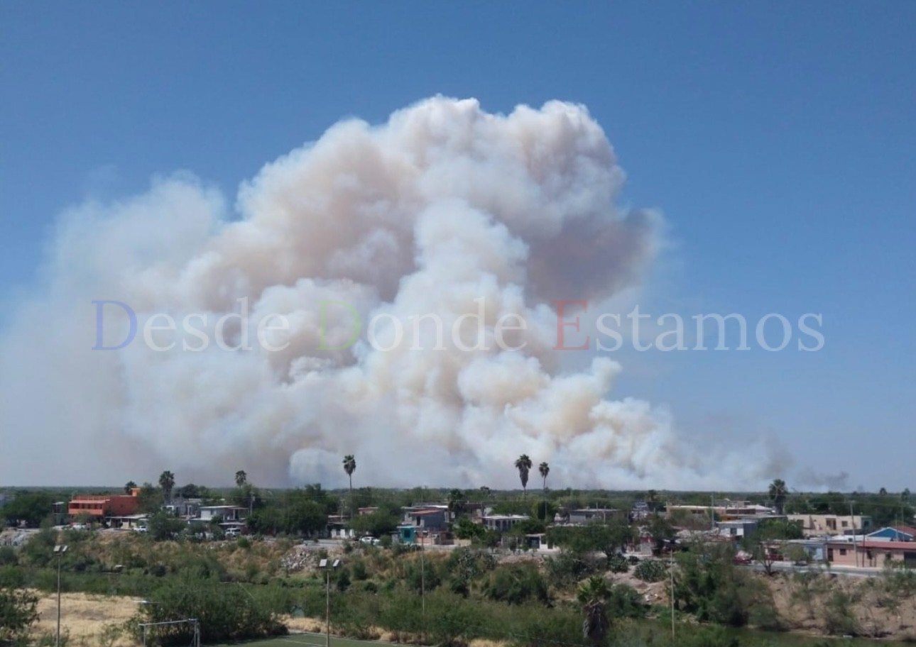 Compensan una mínima parte de lo que se siniestro por incendios - Desde ...